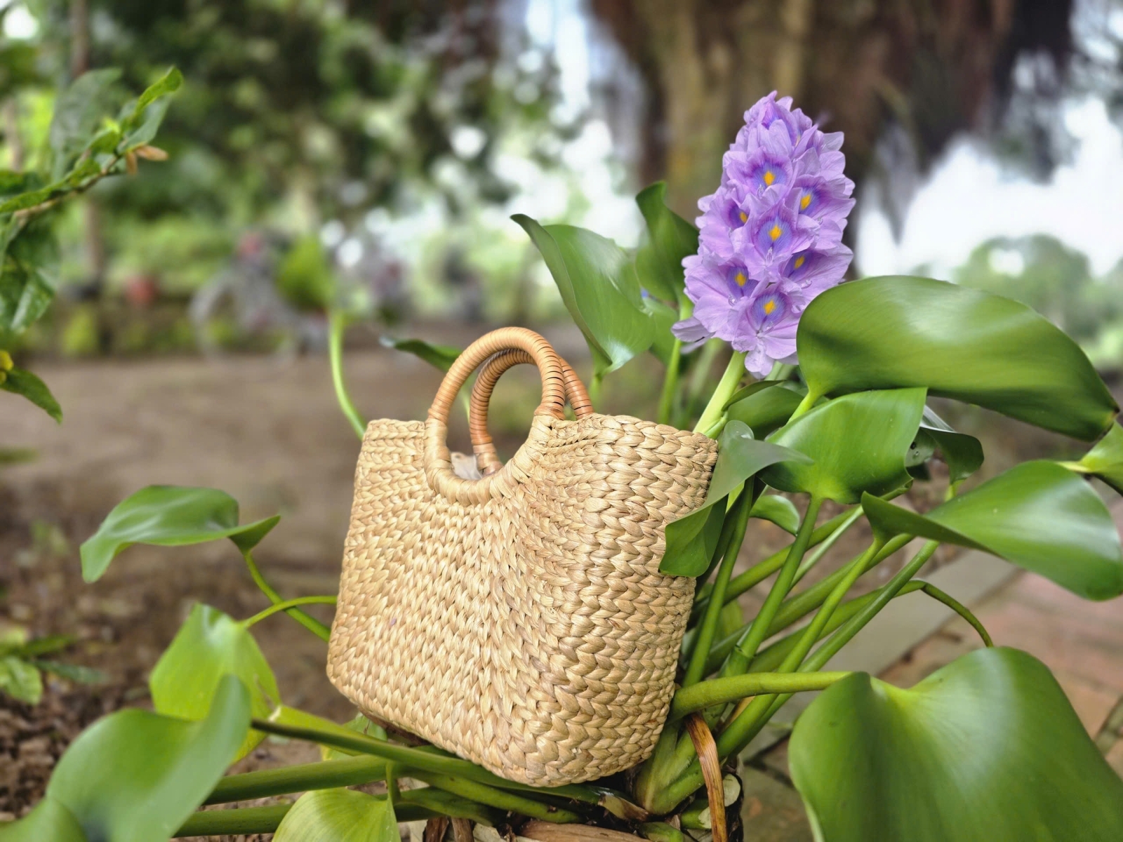 The Beauty of Water Hyacinth Weaving in the Mekong Delta